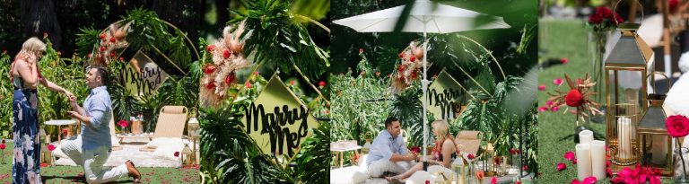 Proposal Ideas - With Love Proposals