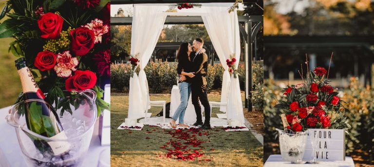 Proposal Ideas - With Love Proposals
